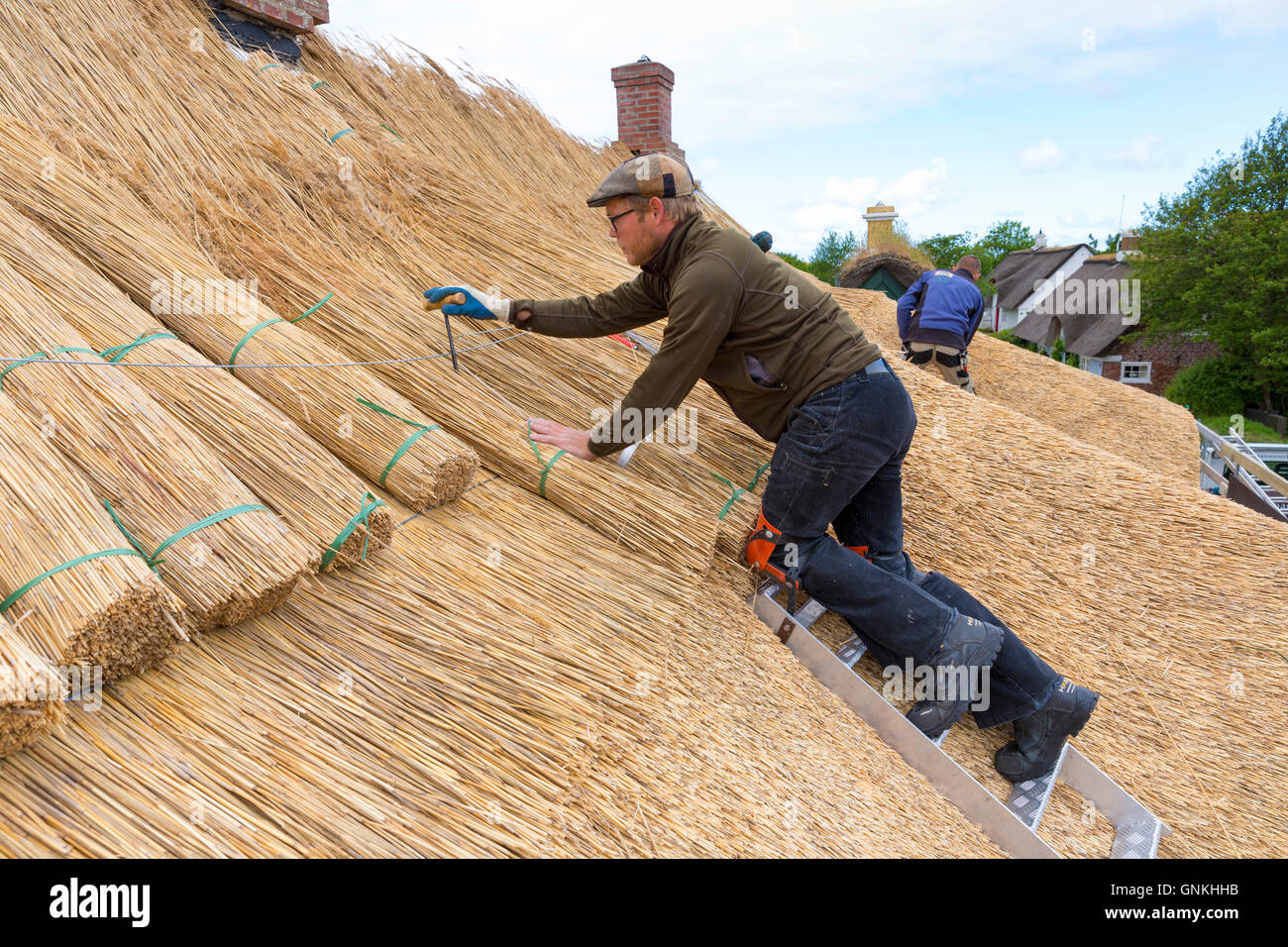 Thatchers hi-res stock photography and images - Alamy
