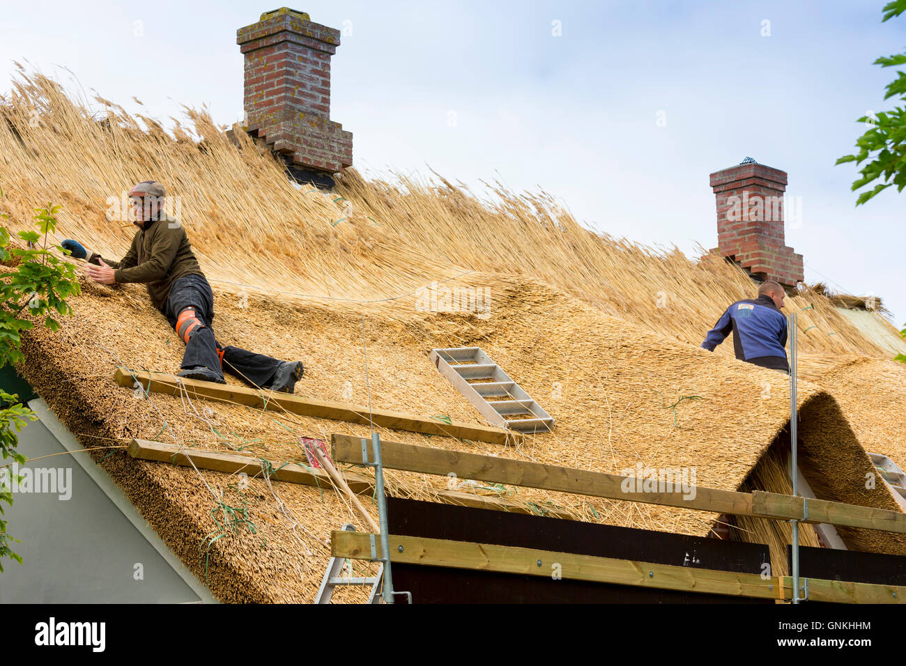 Thatch thatched thatching hi-res stock photography and images - Alamy