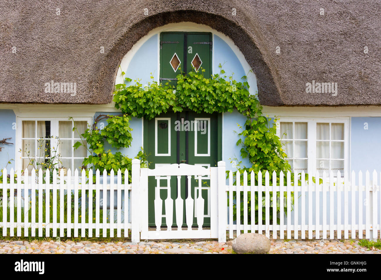 Traditional and quaint thatched cottage house and white picket fence on ...
