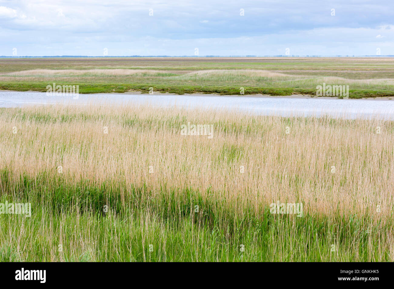 Grassland view hi-res stock photography and images - Alamy