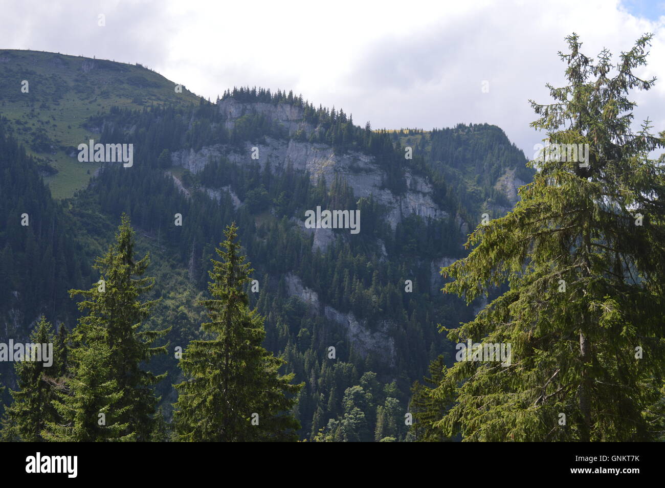 View of the opposite mountain Stock Photo - Alamy