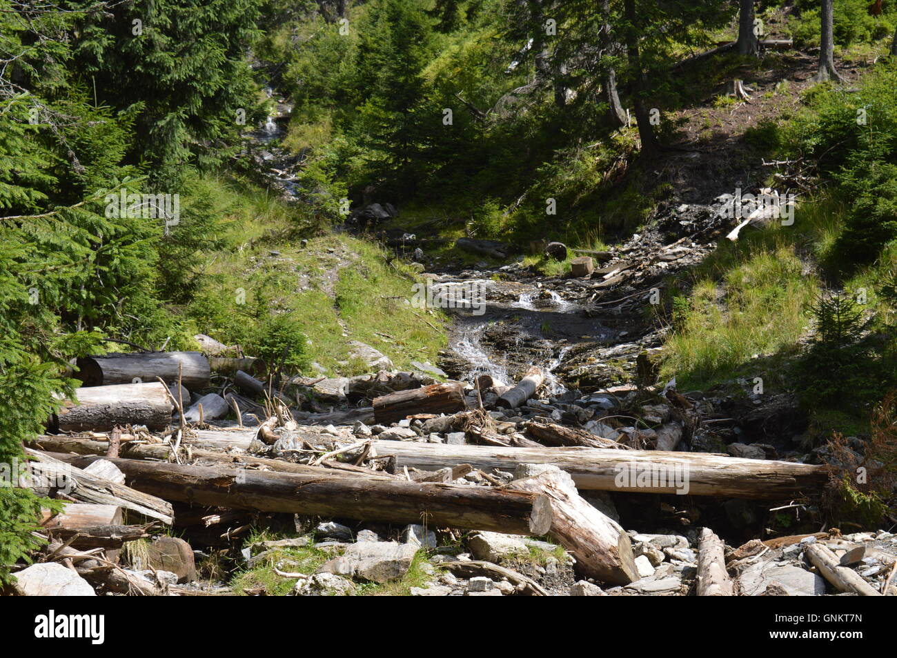 Fast mountain river flow fallen hi-res stock photography and images - Alamy