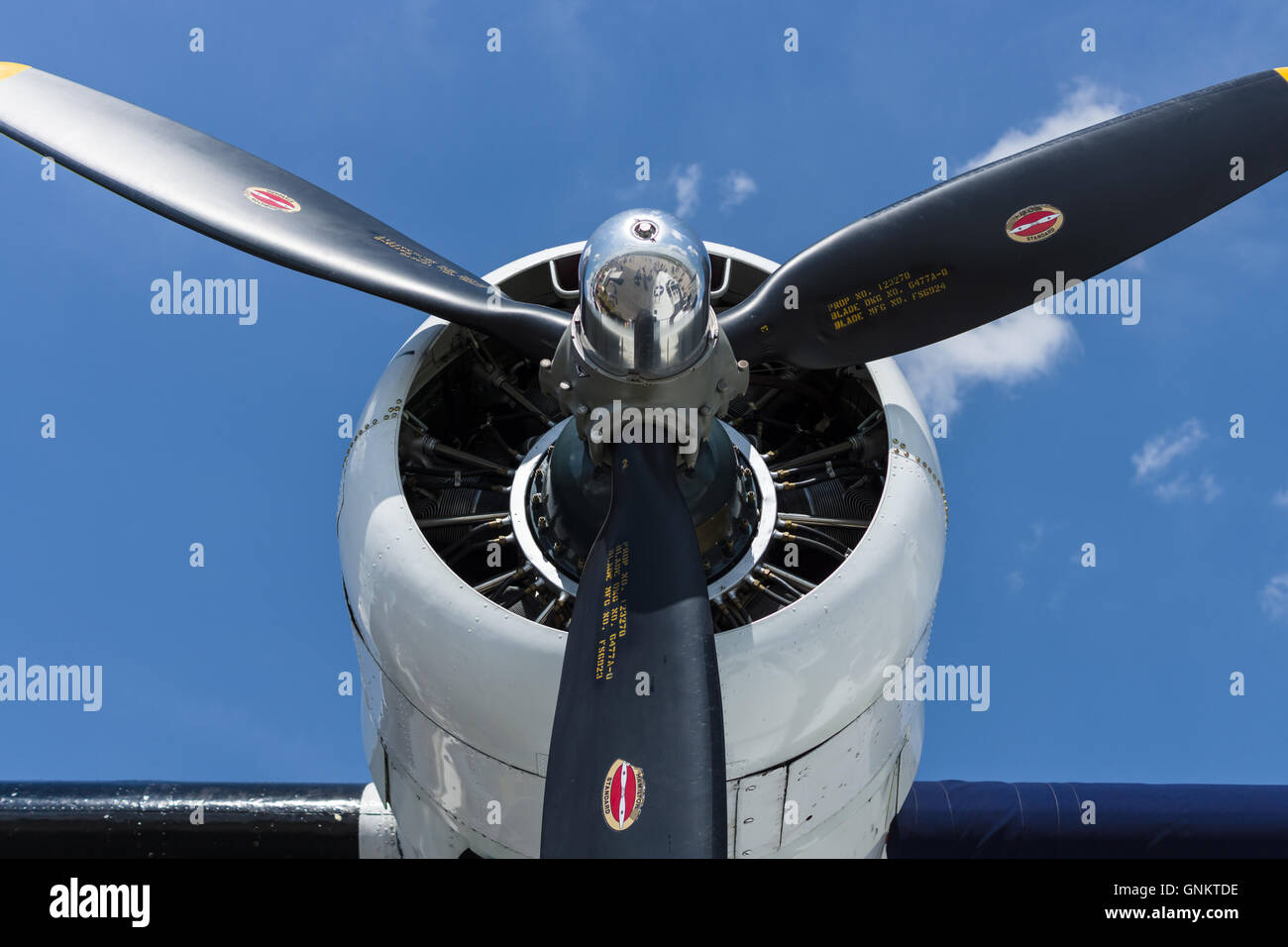 Radial engine of maritime patrol and search-and-rescue seaplane ...