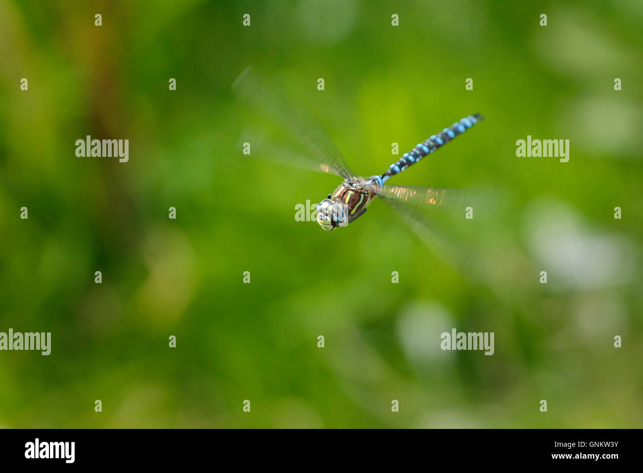 Colourful flight hi-res stock photography and images - Alamy