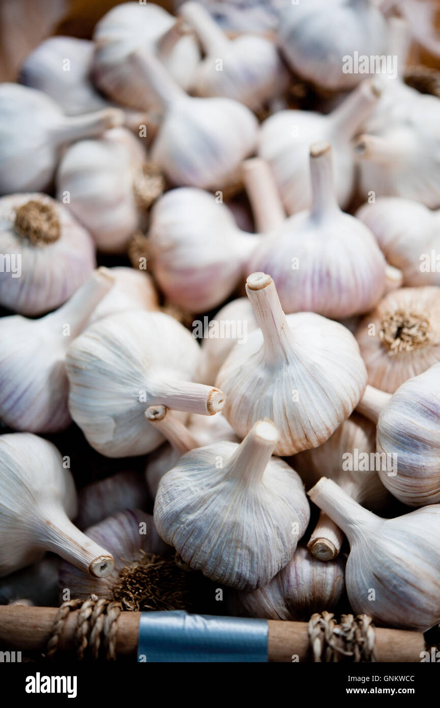 Music garlic hi-res stock photography and images - Alamy