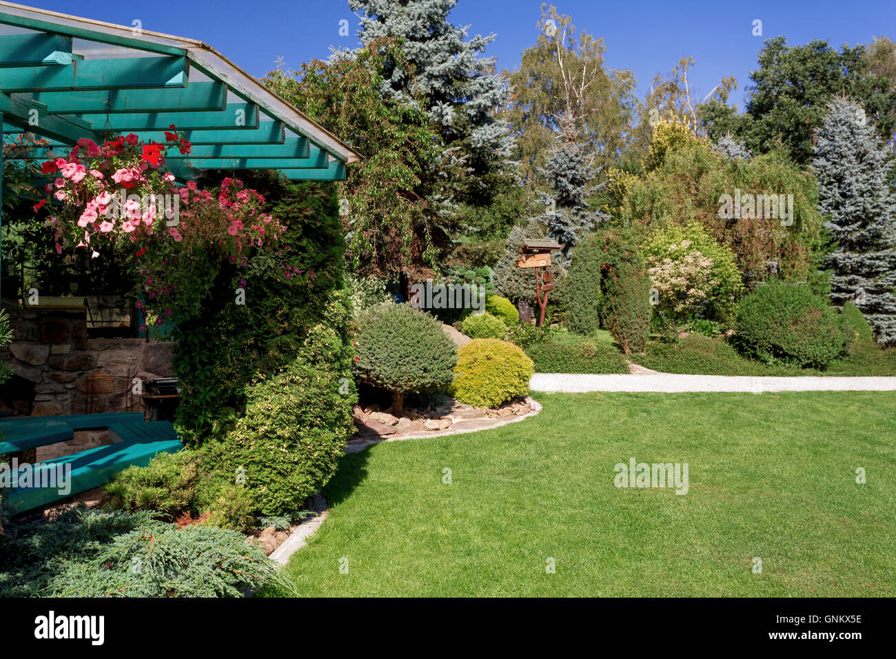 Beautiful summer garden design, with conifer trees, green grass and ...