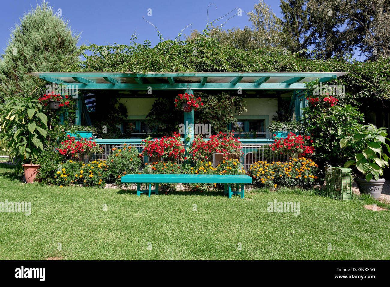 Beautiful summer garden design, with conifer trees, green grass and ...