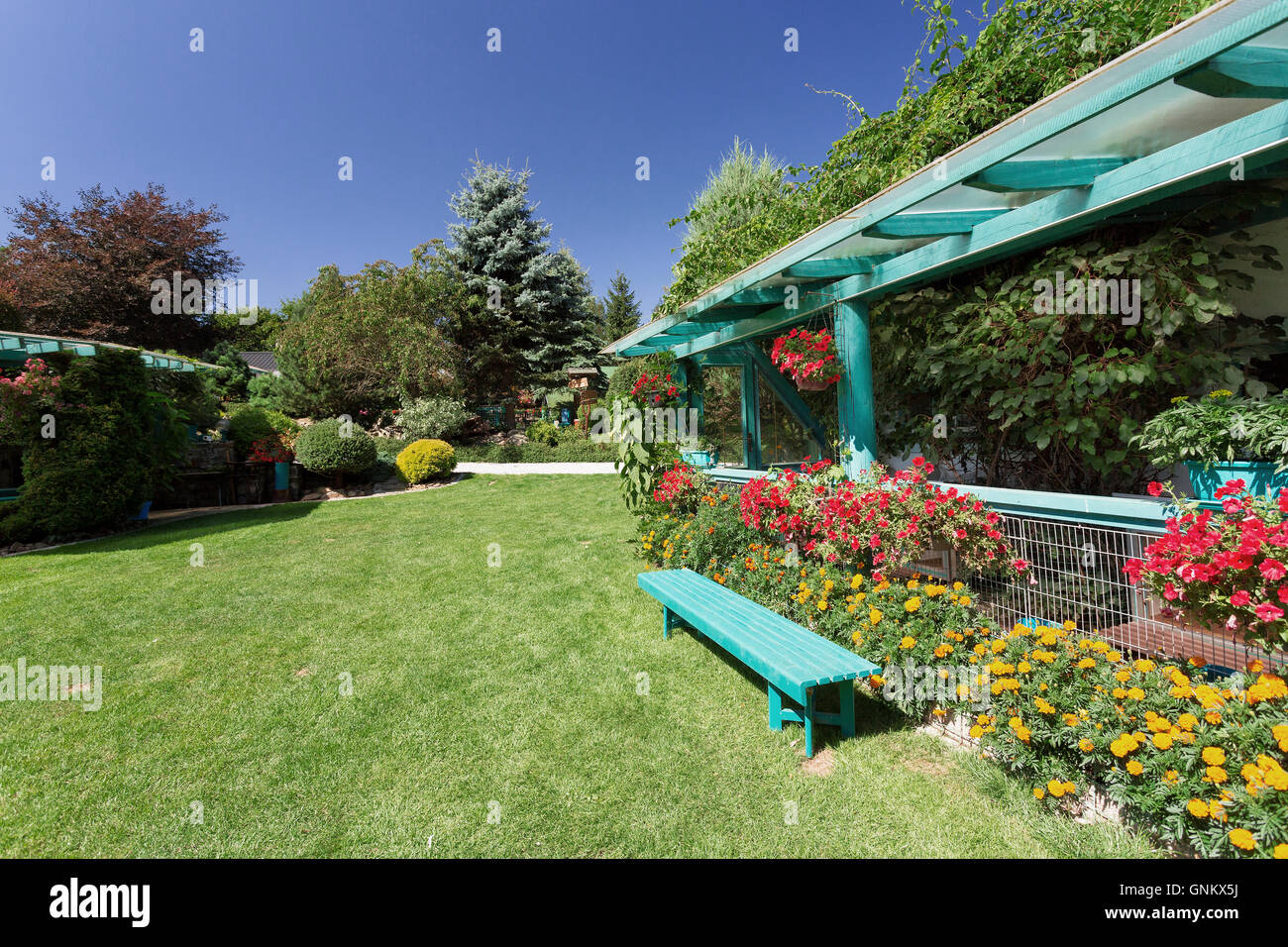 Beautiful summer garden design, with conifer trees, green grass and ...