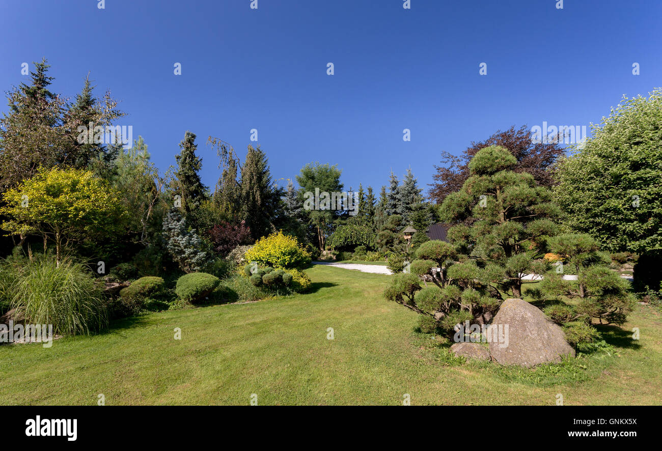 Beautiful summer garden design, with conifer trees, green grass and ...