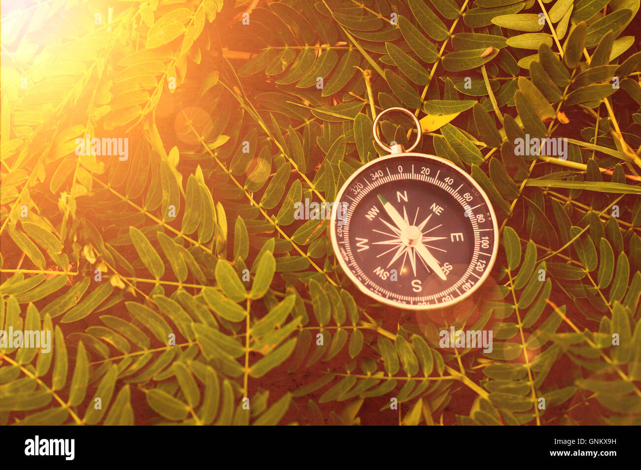 Arrow into sunlight hi-res stock photography and images - Alamy