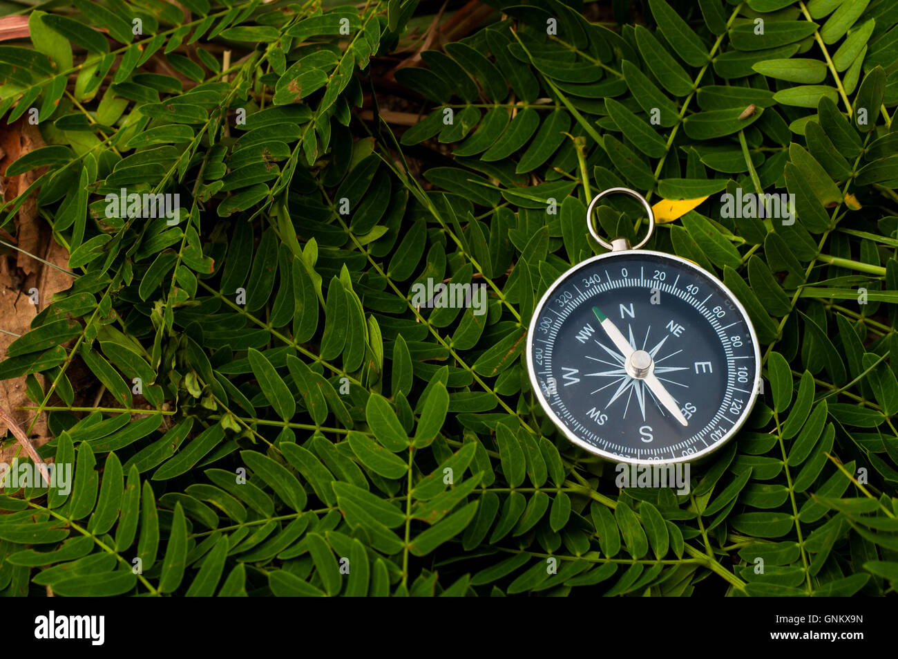 Directional arrow on ground hi-res stock photography and images - Alamy