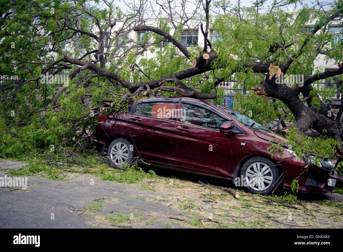Strom damage hi-res stock photography and images - Alamy