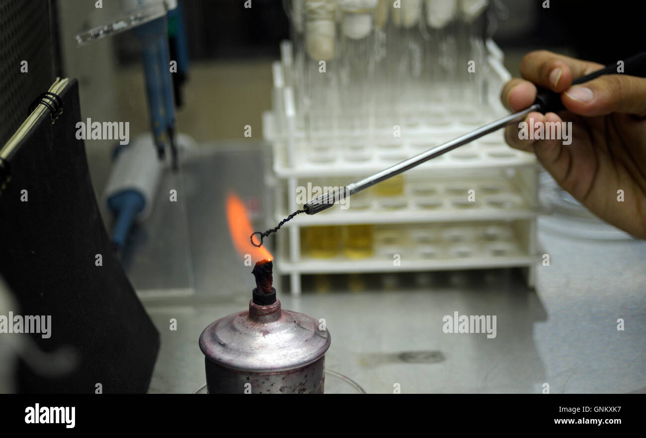 Lab research procedure Stock Photo - Alamy