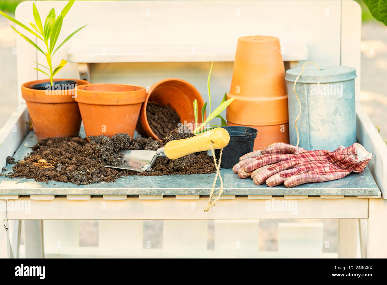 Image of a planting table with tools and pots Stock Photo - Alamy