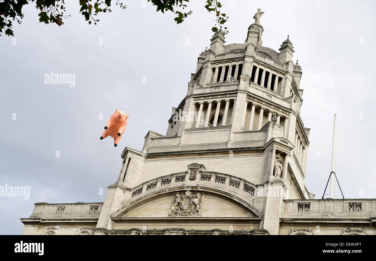 Inflatable pig hi-res stock photography and images - Alamy