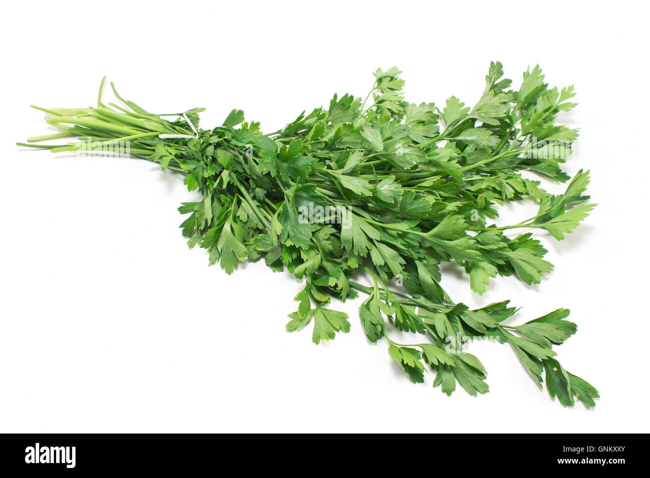 Parsley one hi-res stock photography and images - Alamy