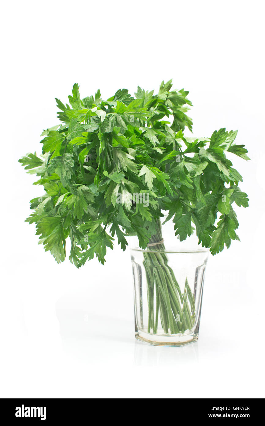 Water parsley hi-res stock photography and images - Alamy