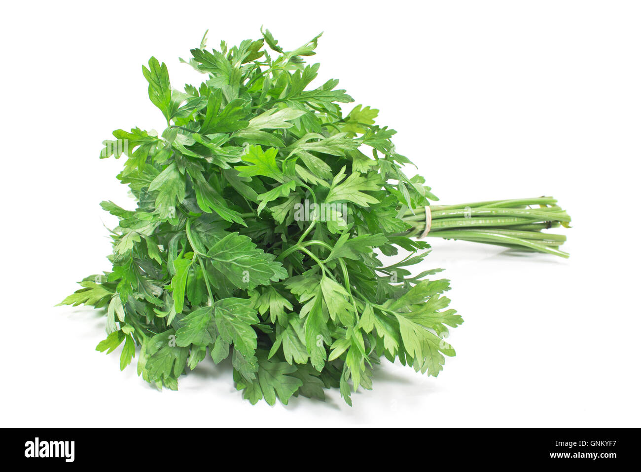 Parsley and leaf hi-res stock photography and images - Alamy