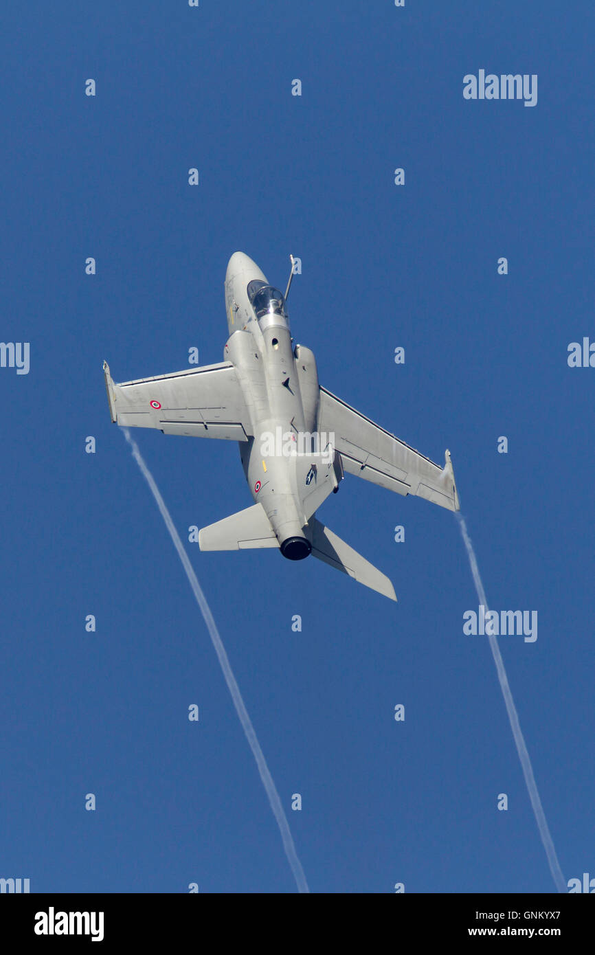 Italian Air Force AMX is a ground-attack aircraft for battlefield ...