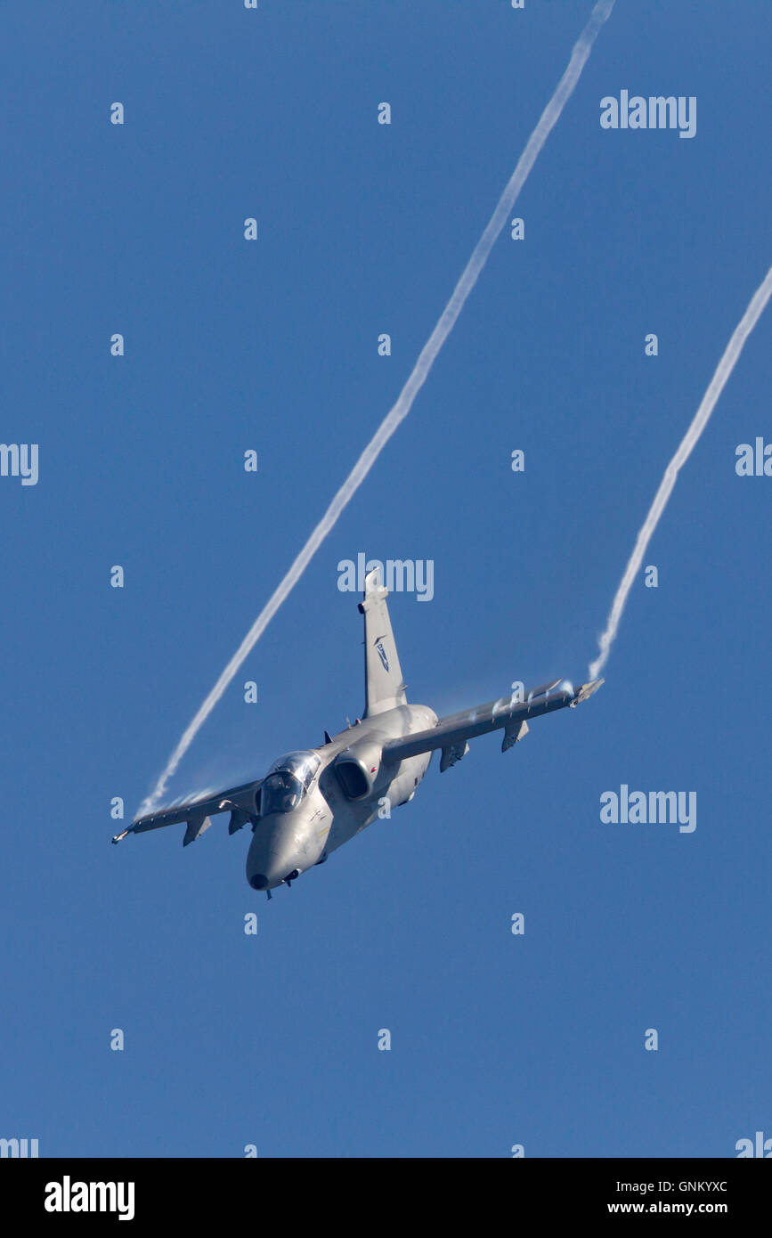 Italian Air Force AMX is a ground-attack aircraft for battlefield ...