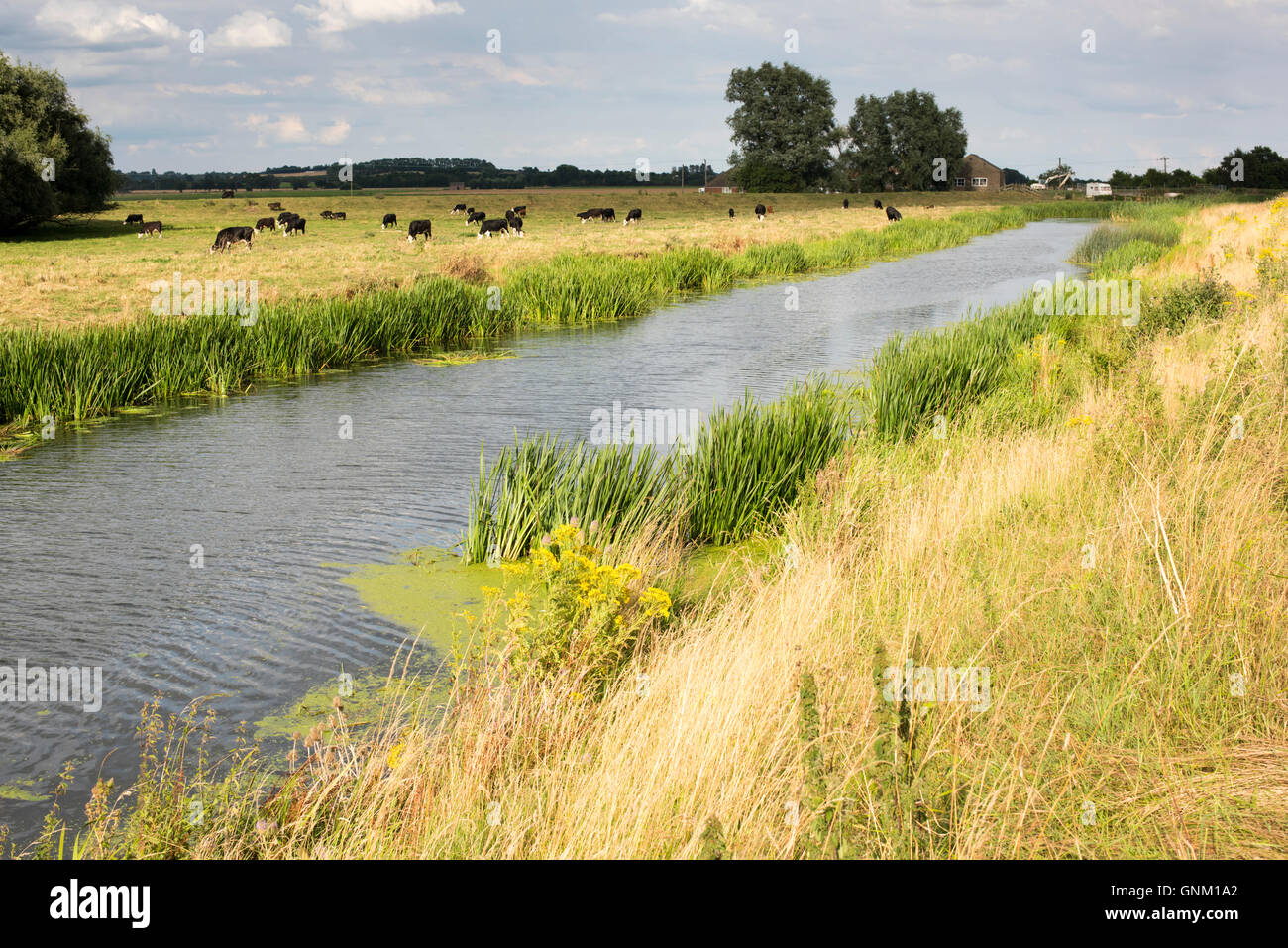 A landscape view of the Old West River, part of the great Ouse system ...