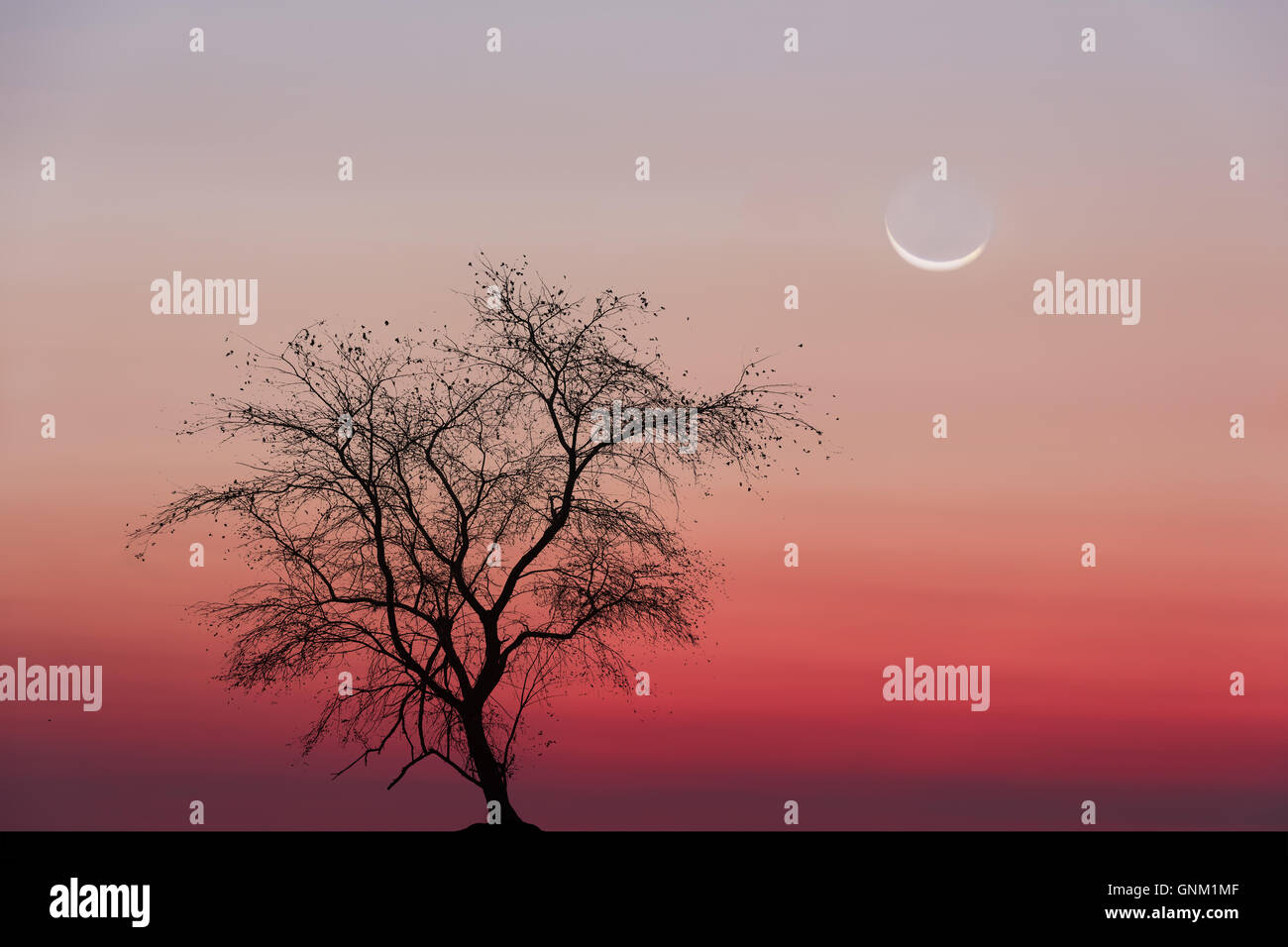 Tree moon graphics Stock Photo - Alamy