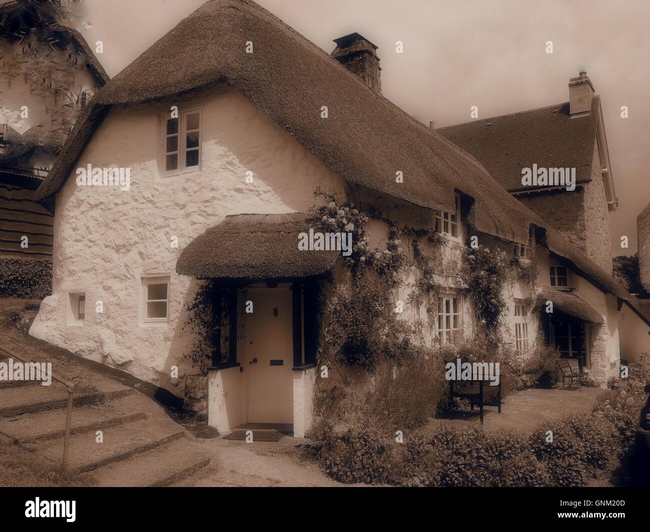 Soft sepia image of an old Devon cottage Stock Photo - Alamy