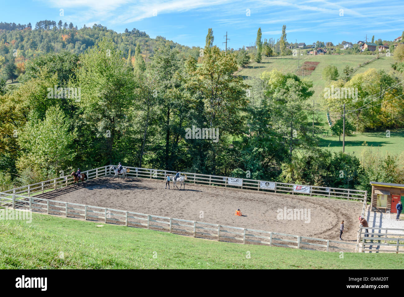 Dressage Arena Stock Photos & Dressage Arena Stock Images - Alamy
