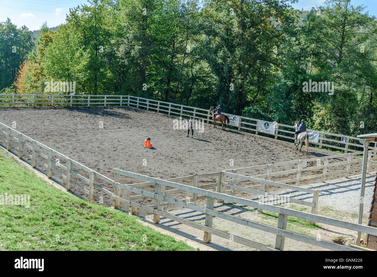 Western Dressage Arena