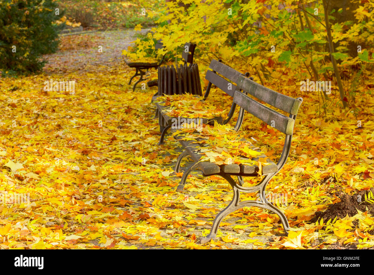 Fall park path Stock Photo - Alamy