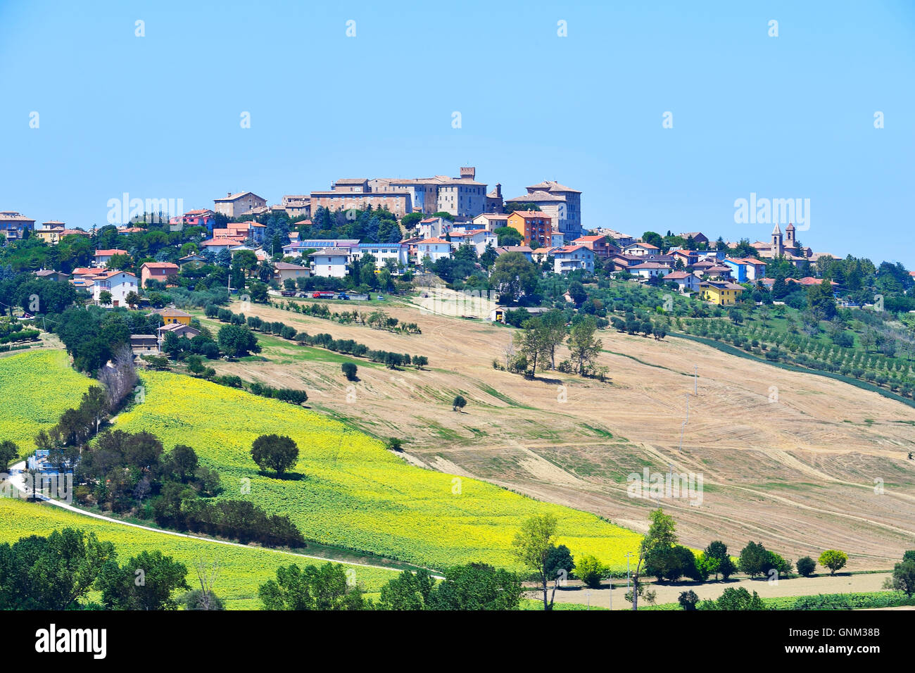 View, overview, panorama, in the background Corinaldo, Province Ancona ...