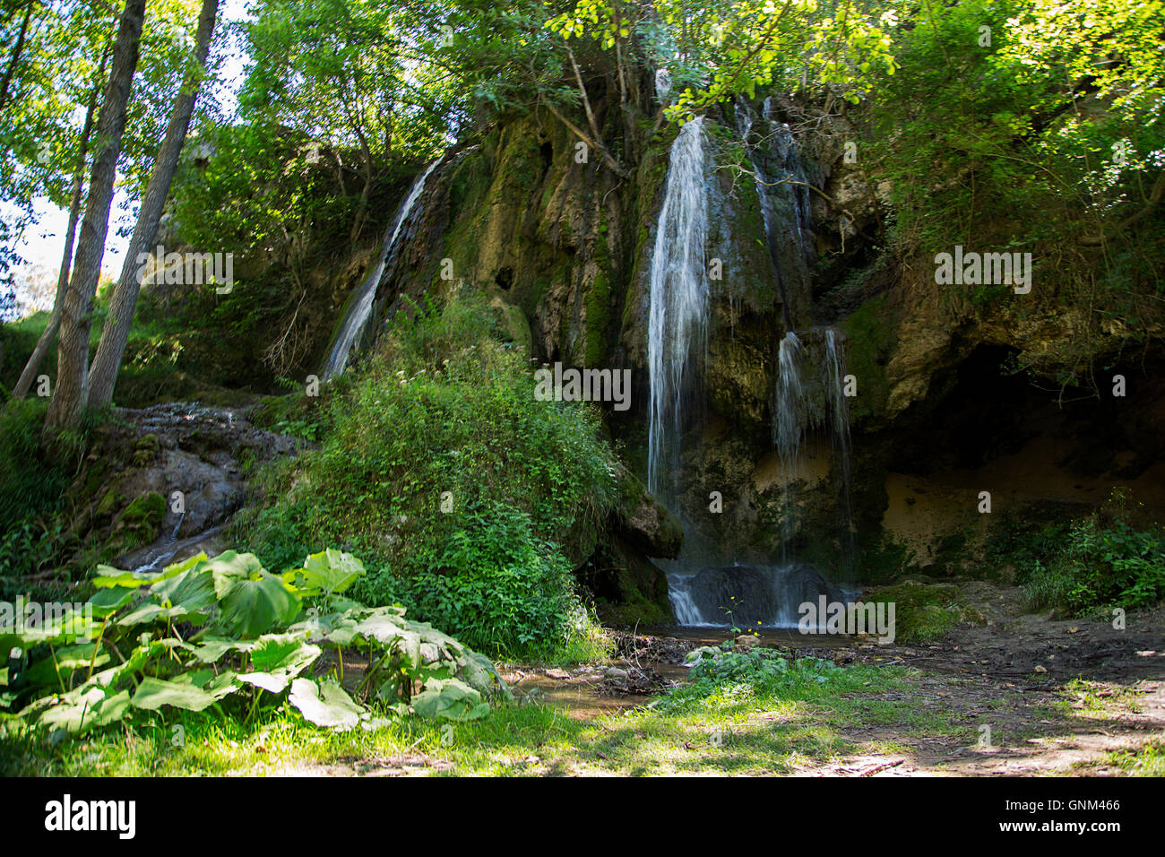 View at the small water cascade in the forest Stock Photo - Alamy
