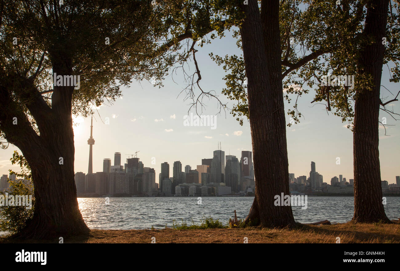 Toronto dowtown skyline Stock Photo - Alamy