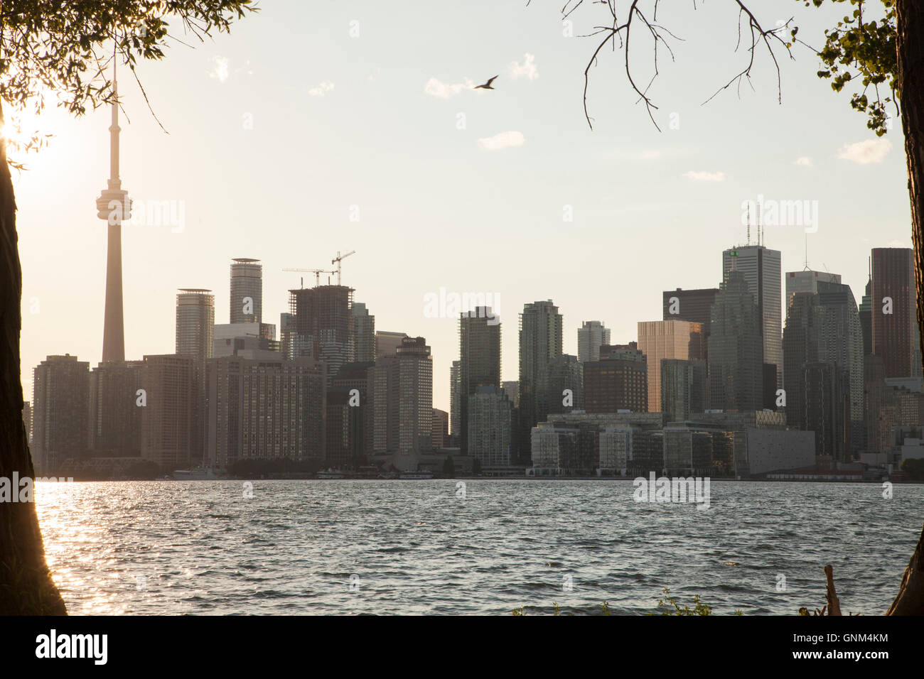 Downtown toronto skyline hi-res stock photography and images - Alamy