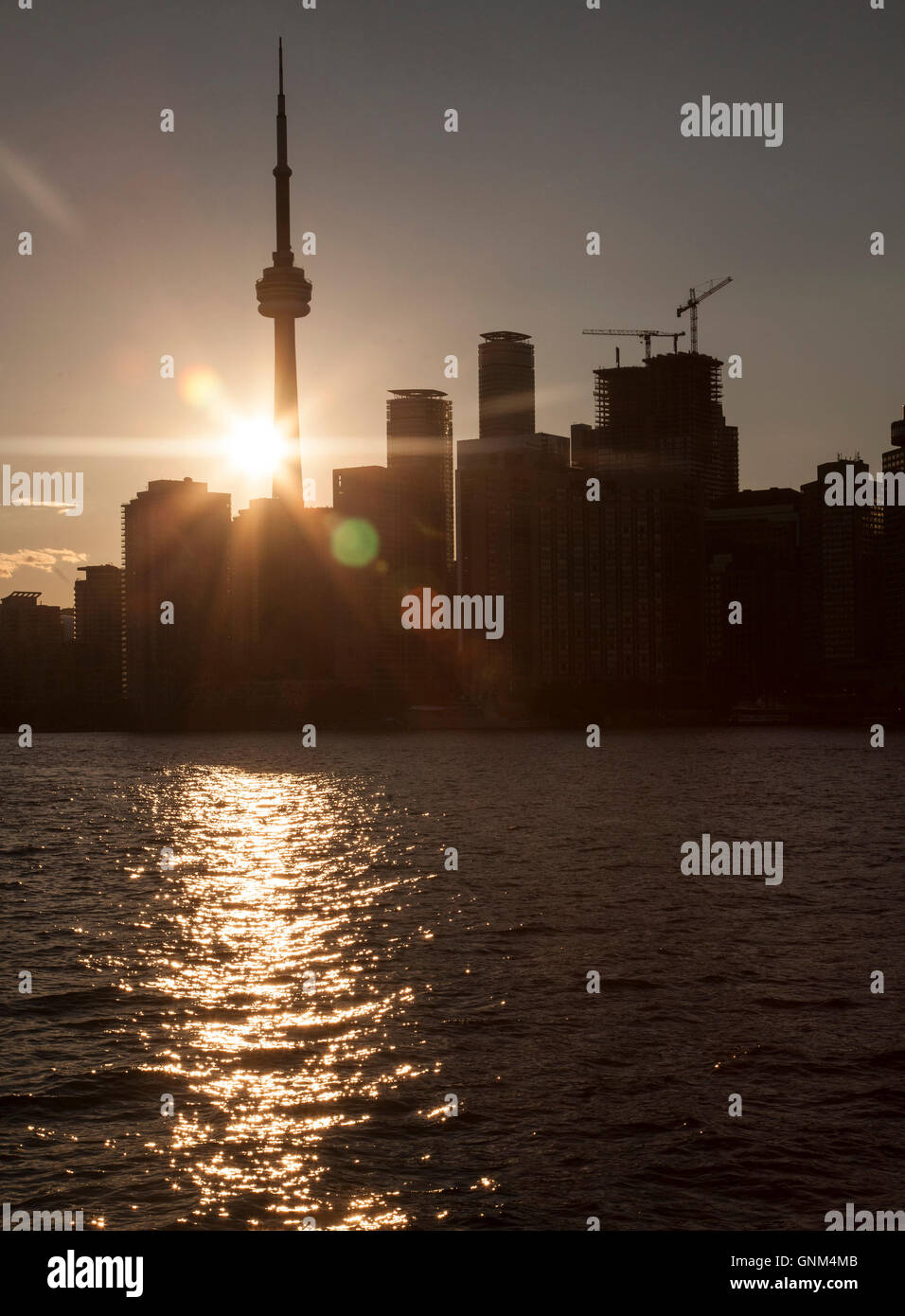 Downtown Toronto skyline Stock Photo - Alamy