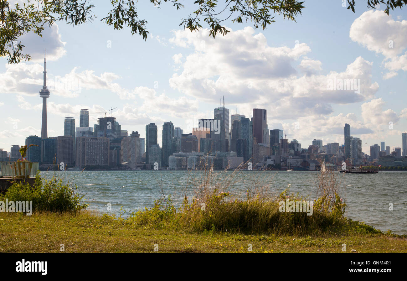 Downtown Toronto skyline Stock Photo - Alamy