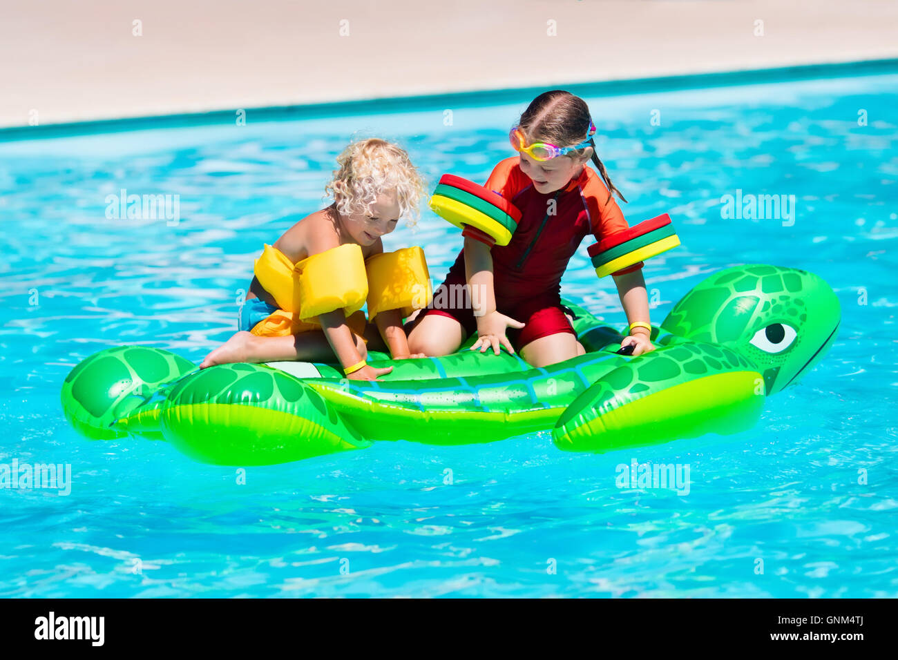 Turtle swimming in pool hi-res stock photography and images - Alamy