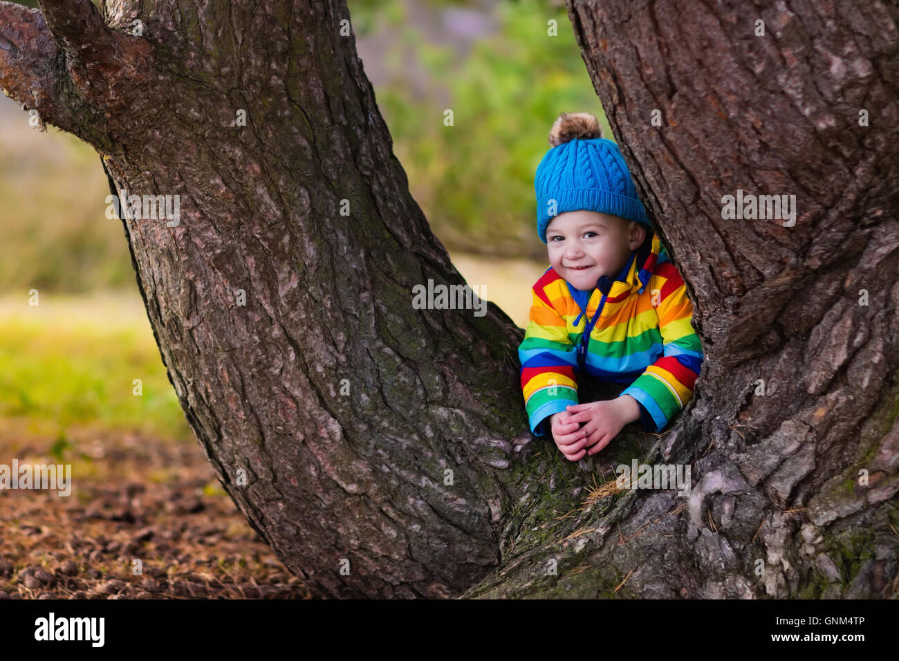 Little boy hiding behind big tree. Happy children playing in beautiful ...