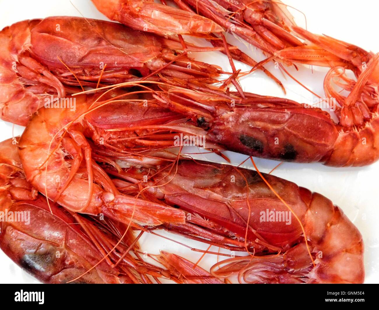 shrimp on white background Stock Photo - Alamy