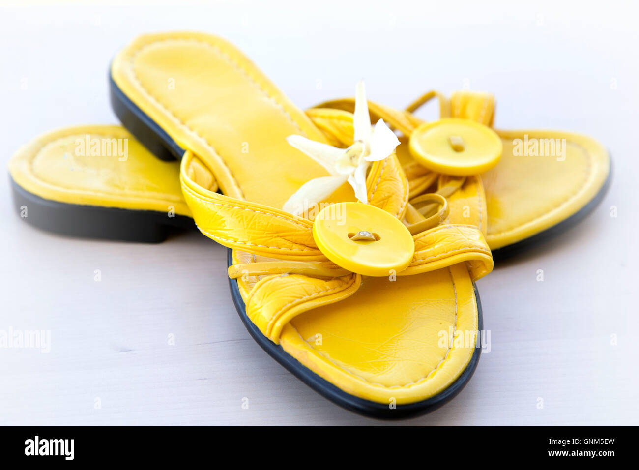 Bright flippers hi-res stock photography and images - Alamy