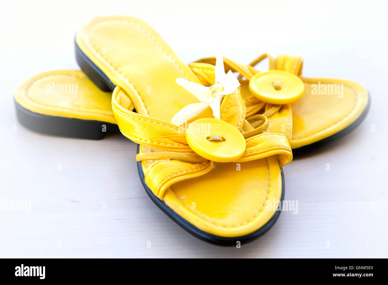 Bright flippers hi-res stock photography and images - Alamy