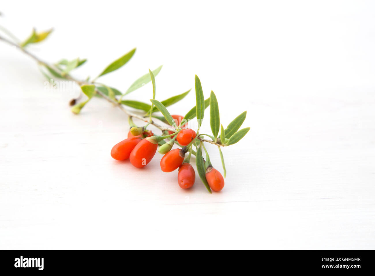 Goji b hi-res stock photography and images - Alamy