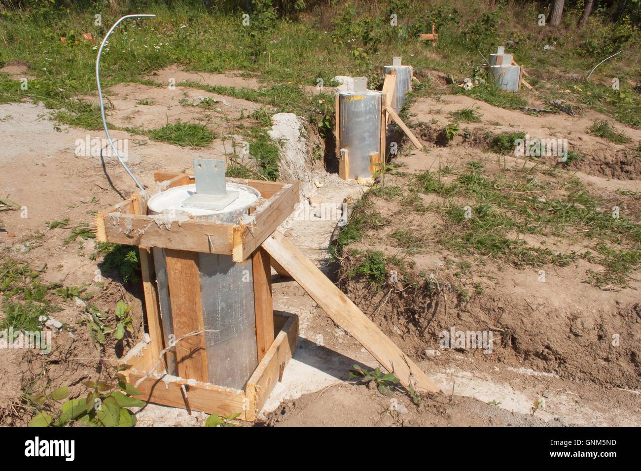 Tabby foundation hi-res stock photography and images - Alamy