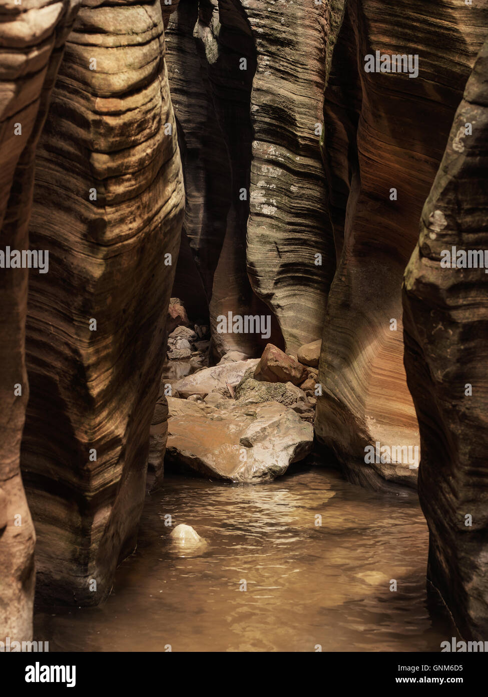 A slot canyon in Utah's Zion National Park Stock Photo - Alamy