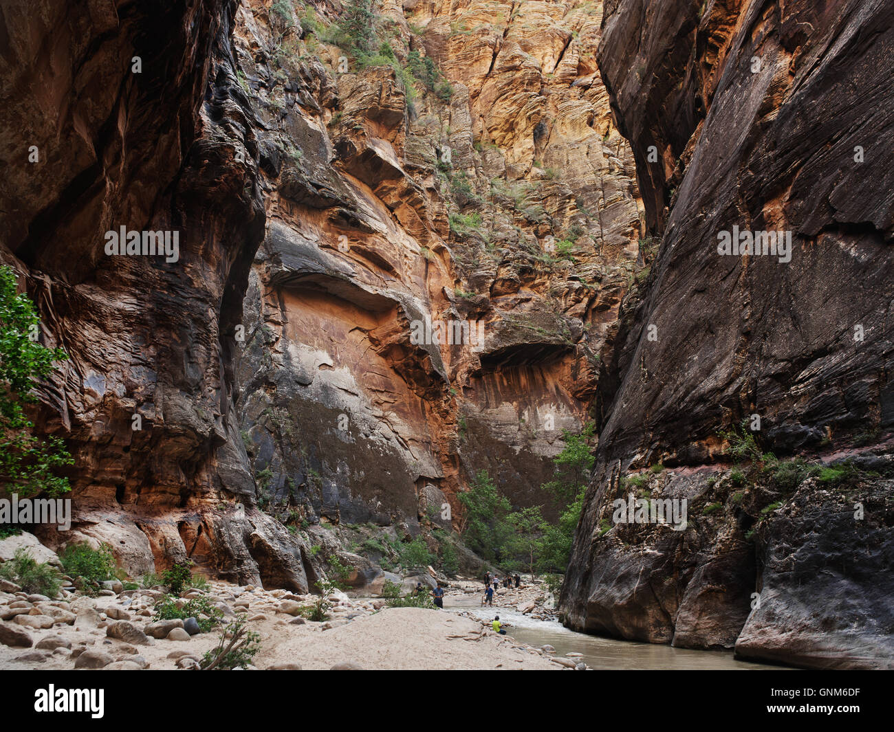 Part of The Narrows trail Stock Photo - Alamy