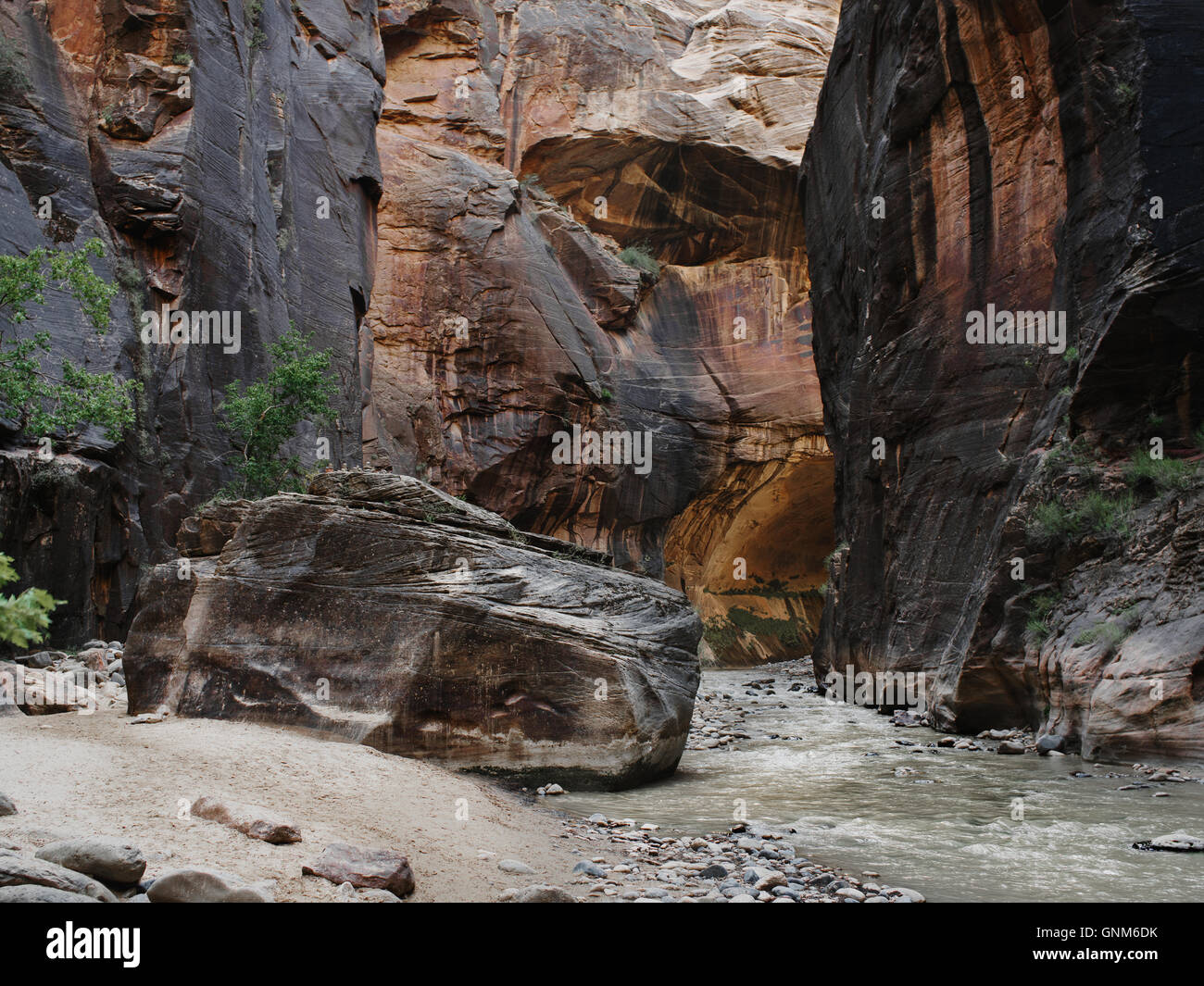 The Virgin River forms a hike called The Narrows in Utah's Zion ...