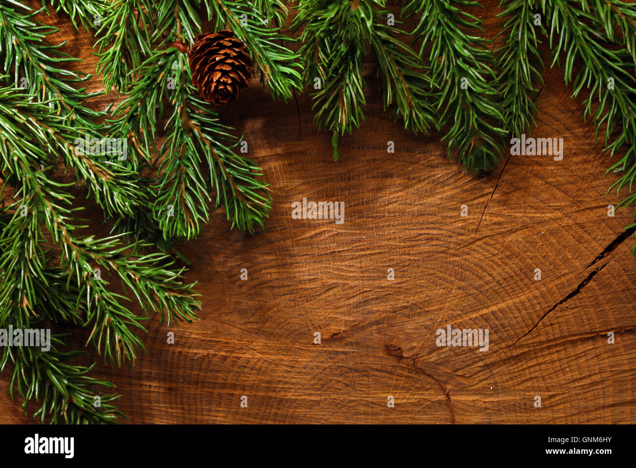 Evergreen tree background Stock Photo - Alamy