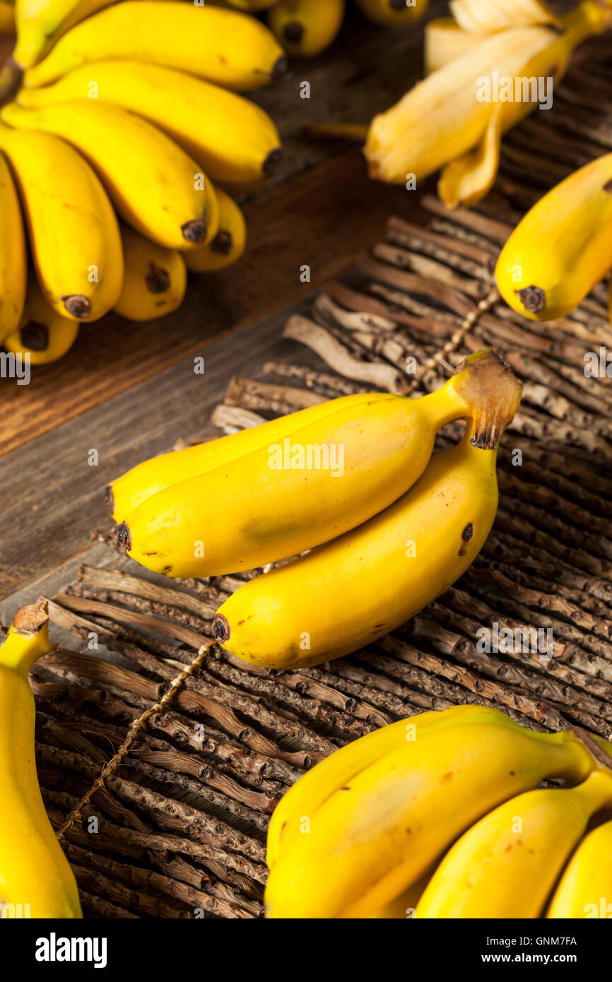 Raw Organic Yellow Baby Bananas in a Bunch Stock Photo - Alamy