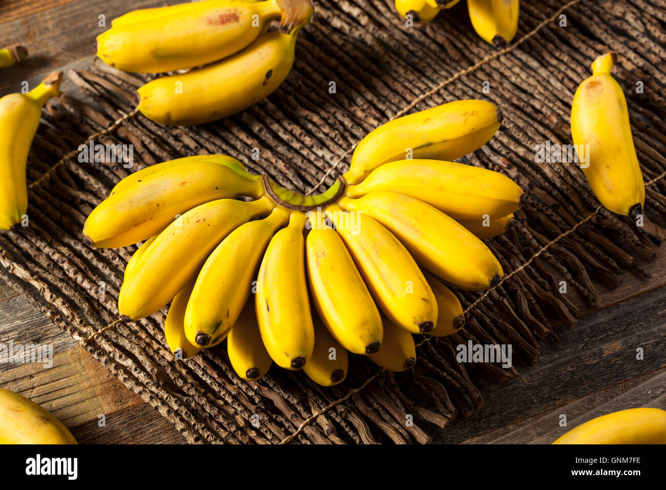 Raw Organic Yellow Baby Bananas in a Bunch Stock Photo - Alamy