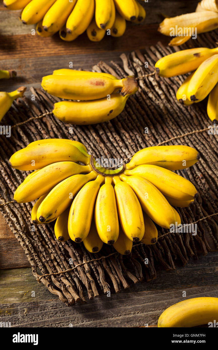 Raw Organic Yellow Baby Bananas in a Bunch Stock Photo - Alamy